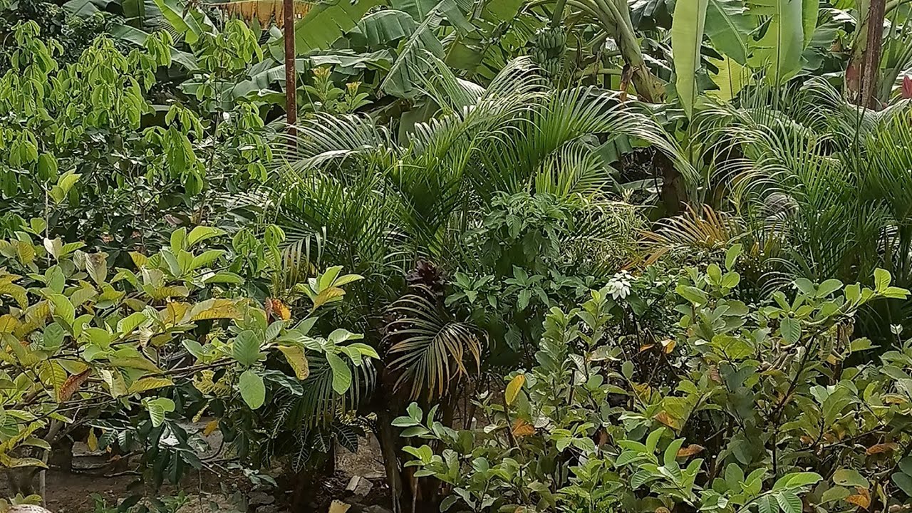Magandang lugar para sa Bahay bakasyonan na malapit sa Tagaytay - YouTube