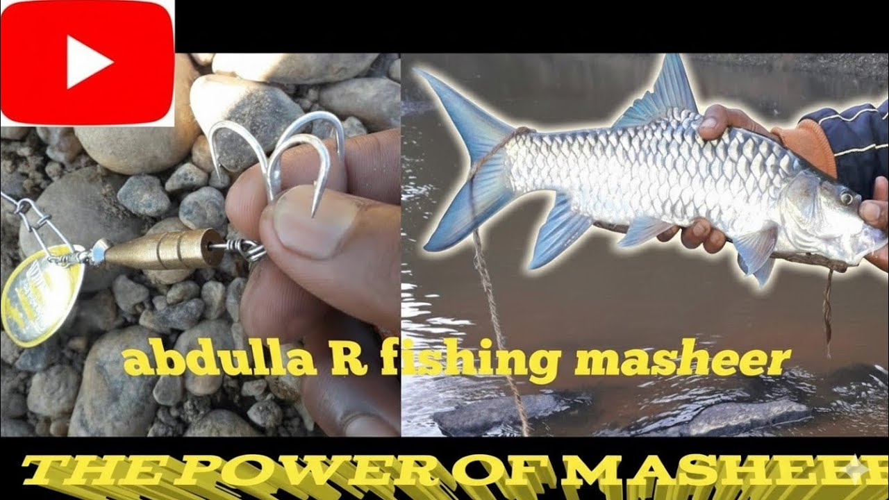 masheer fishing power of masheer 🐟 💪 🎣 - YouTube