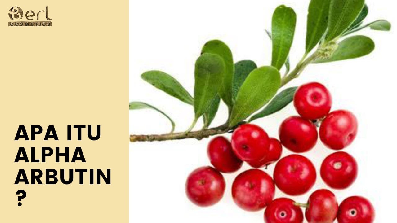 Apa Itu Alpha Arbutin Dalam Kandungan Skincare? - WA 085 721 560 685 ...
