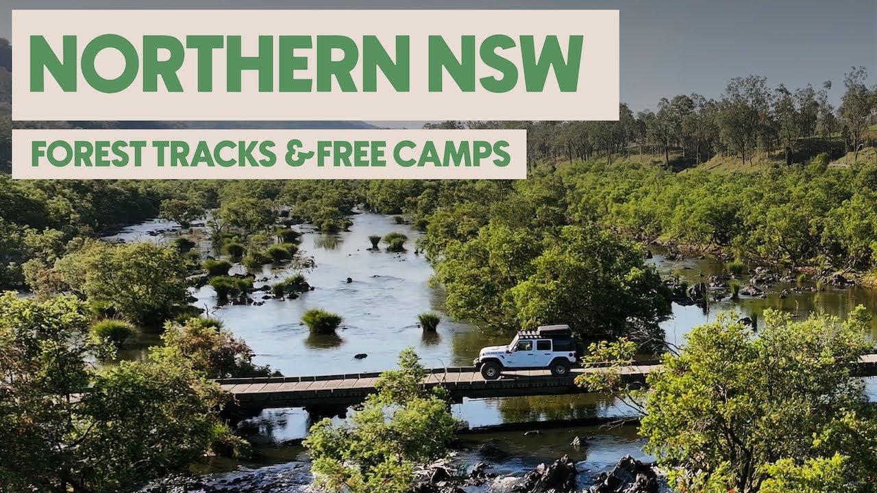 Forest tracks and riverside free camps in Northern NSW - the ultimate ...