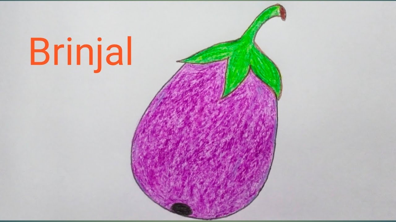 How to draw a brinjal //easy brinjal drawing step by step... - YouTube