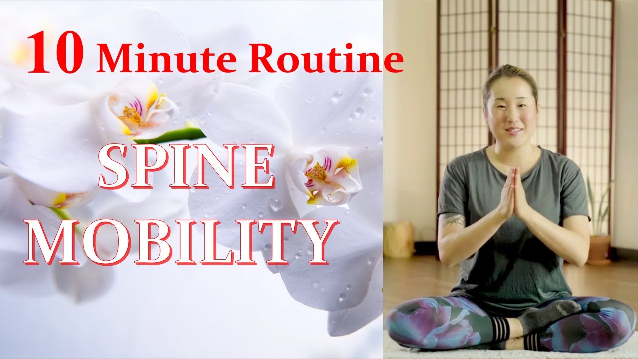 SPINE MOBILITY Exercises | 10 Minute Daily Routines - YouTube