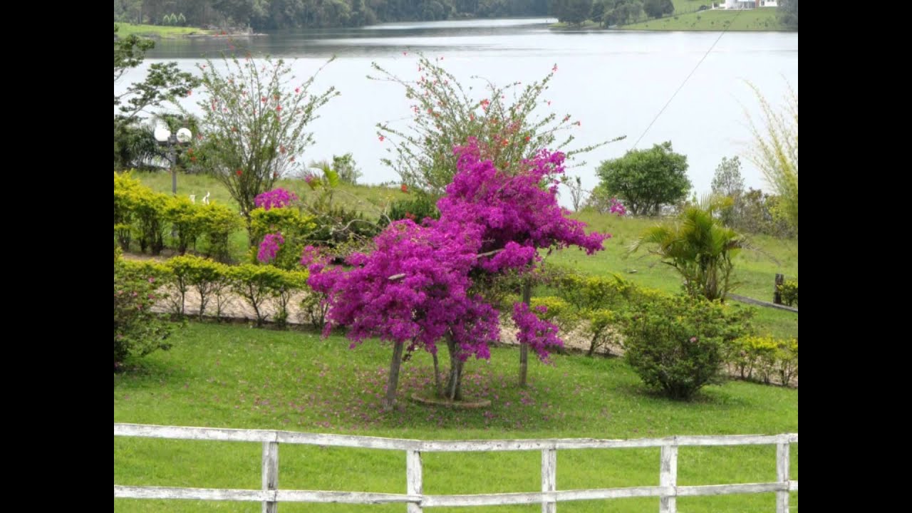 Martin Valverde, Ten Calma - YouTube