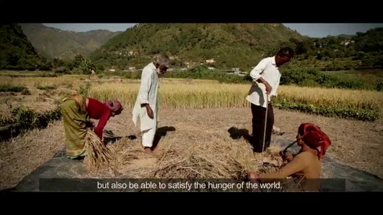 Baranaja : Twelve Seeds of Sustainability - YouTube