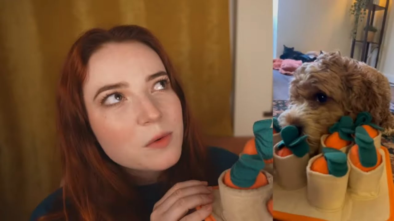 ASMR Show & Tell (Puppets, Storybook, Cute Hairclips, Rave Outfit ...