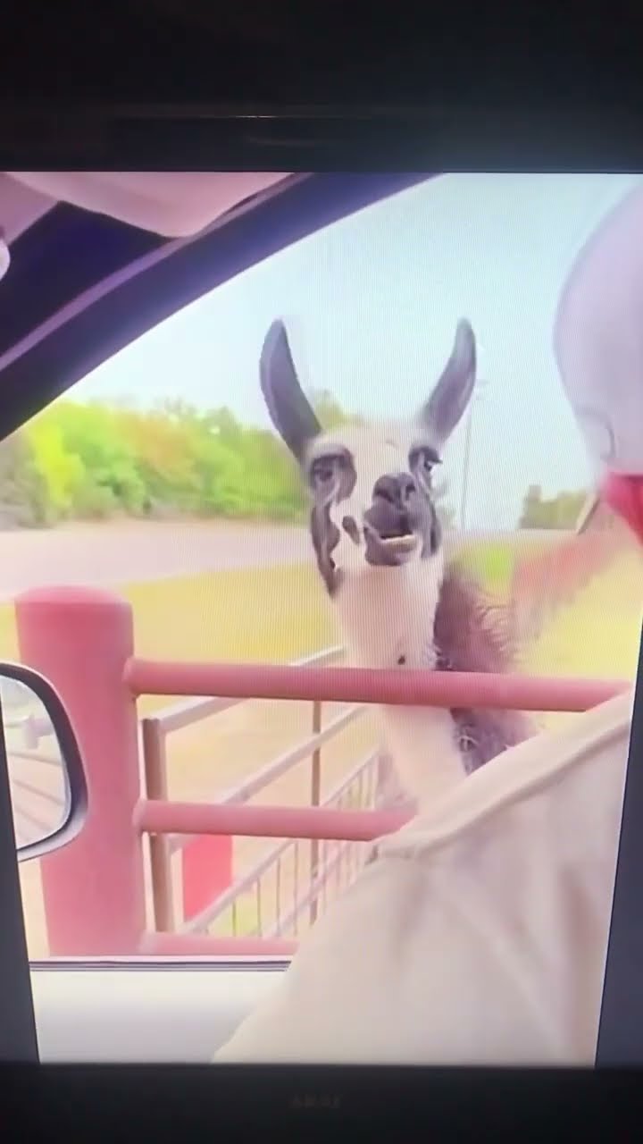 This is literally Isaac bro 😂😂 - YouTube