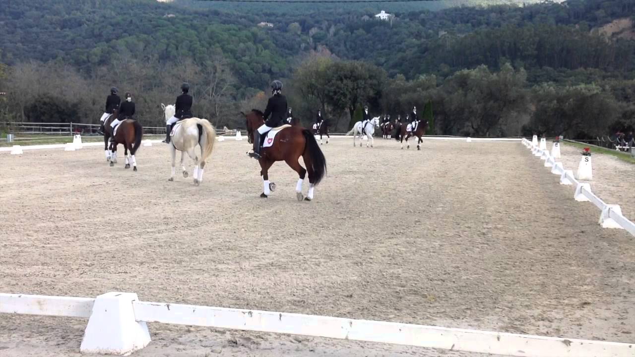 carrousel can marc marato tv3 - YouTube