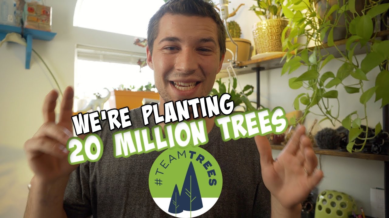Joining Team Trees to help make this world a better place 🌳 - YouTube