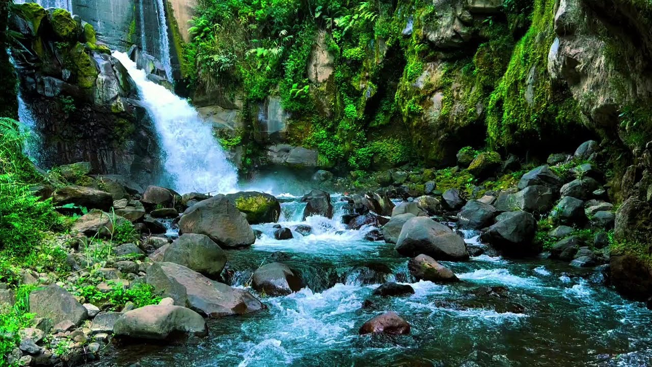 Waterfall Sounds for Sleeping, River Sounds for relaxation, Water ...