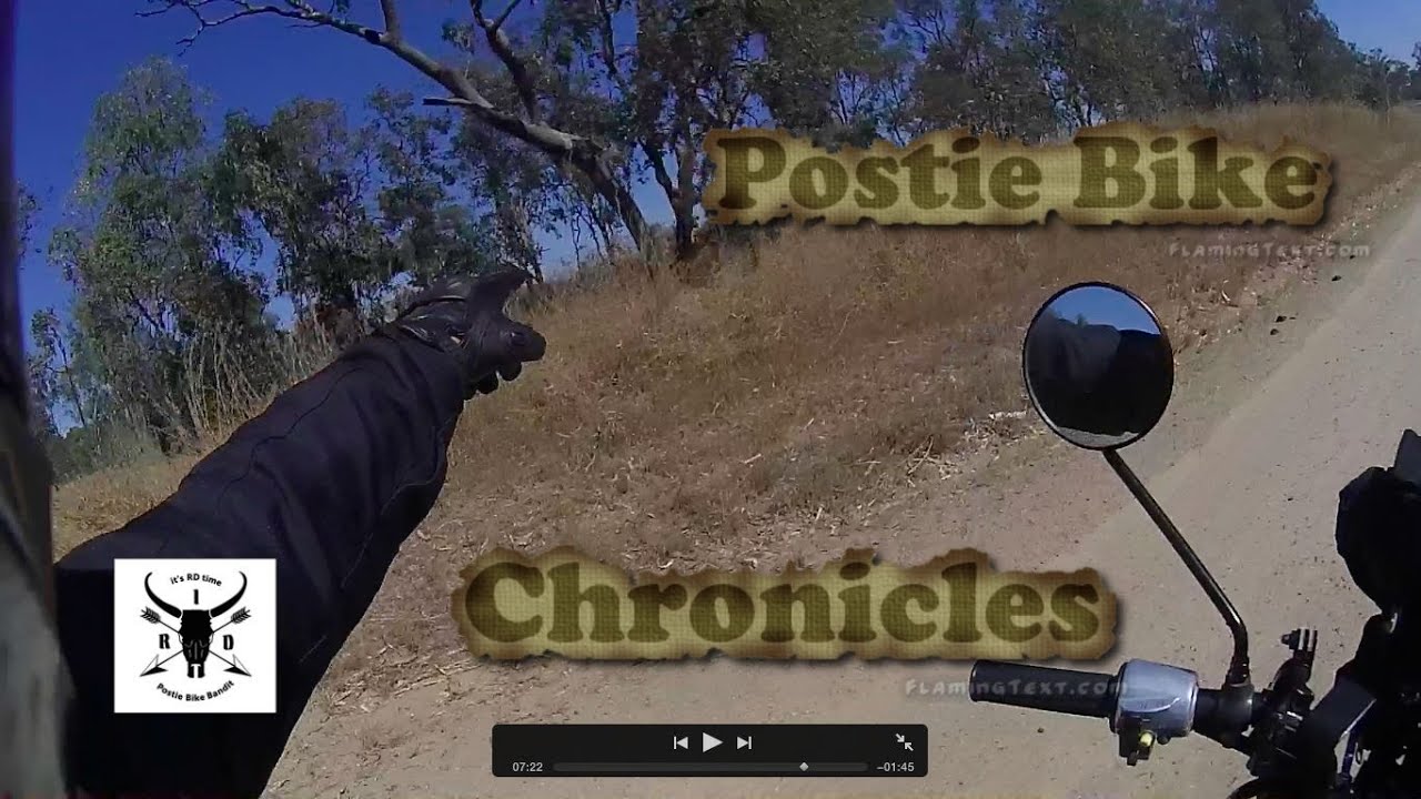 Hit a Pig/ trip to Mackay (Postie bike Chronicles ) - YouTube