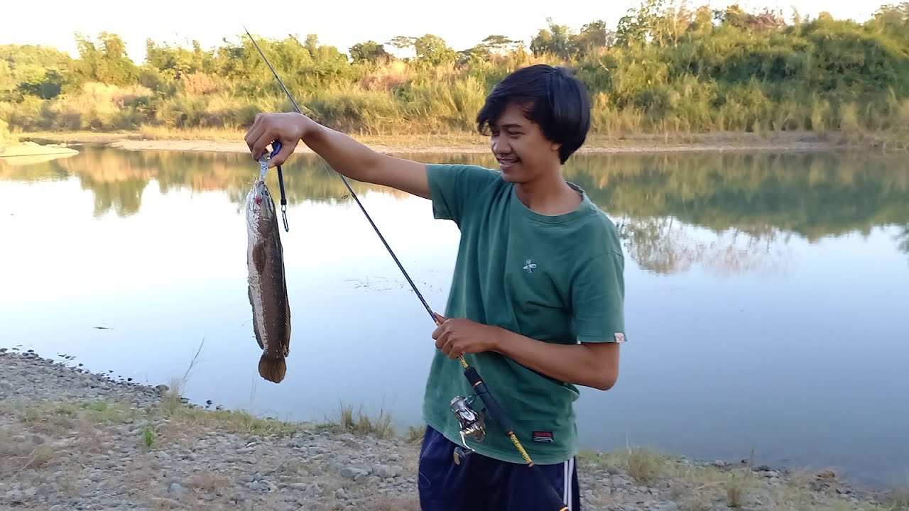 dalag fishing-snakehead 750 grams || river fishing - YouTube