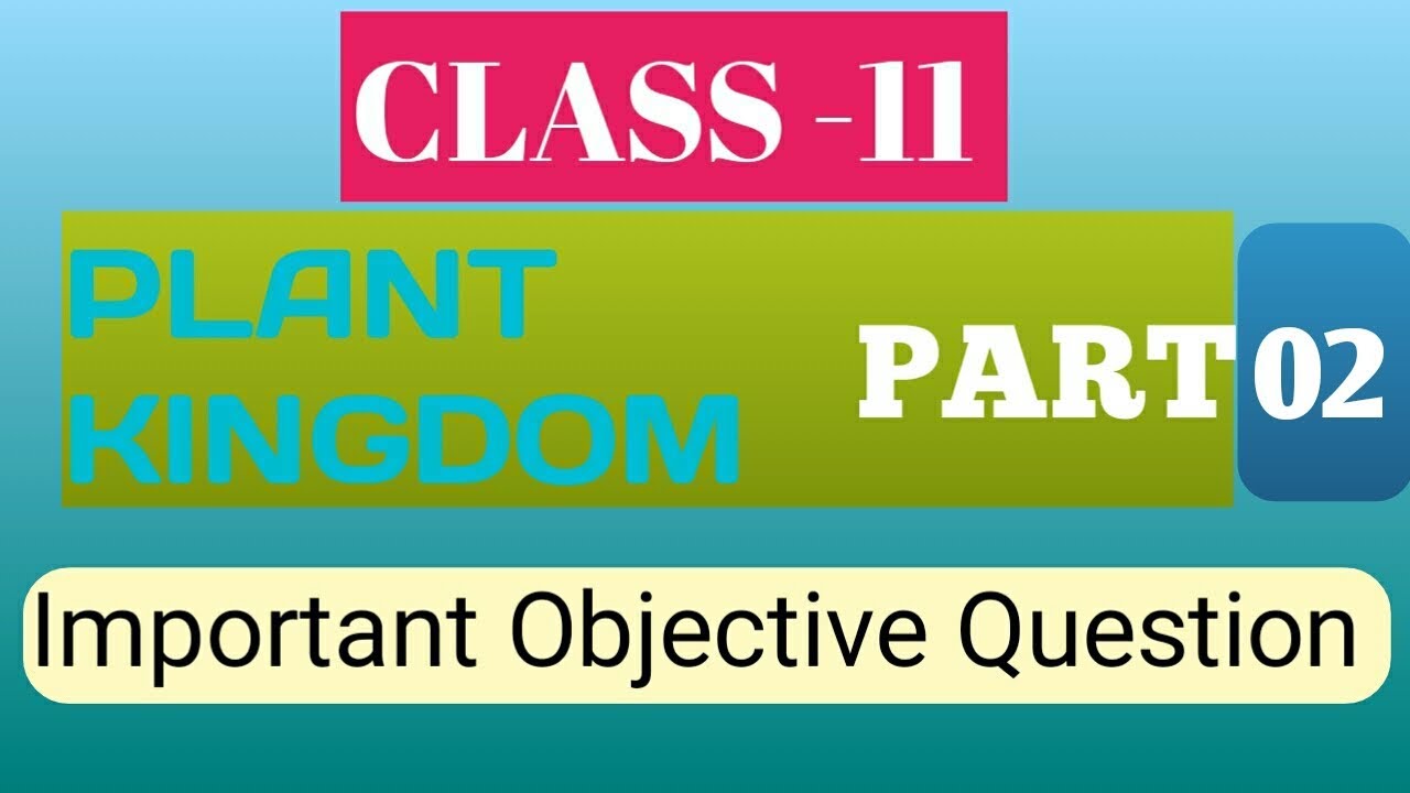 Plant kingdom objective questions - YouTube