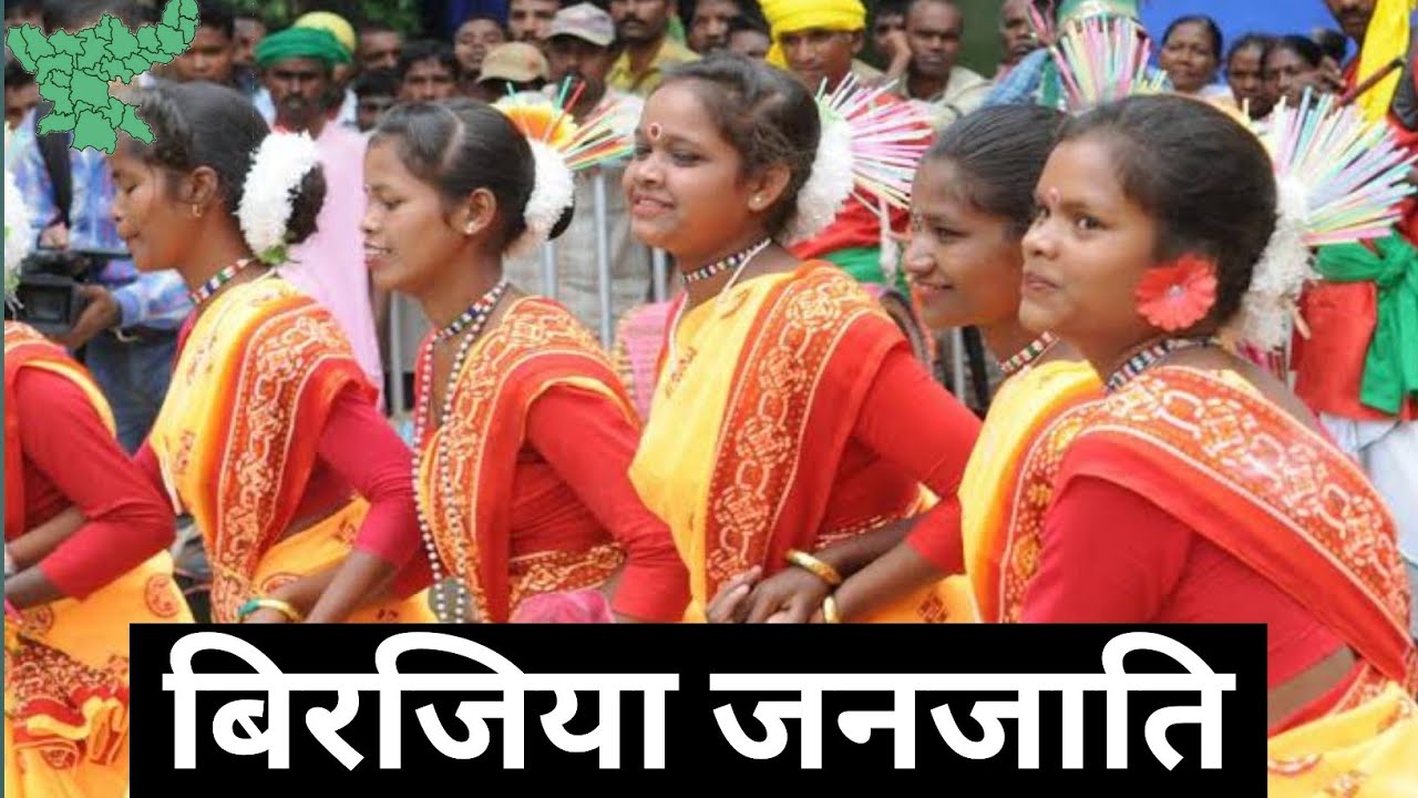 बिरजिया जनजाति का सामान्य परिचय// general introduction of birjia tribe ...