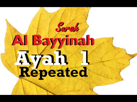 Surah Al Bayyinah (Ayah 1, repeated) - YouTube
