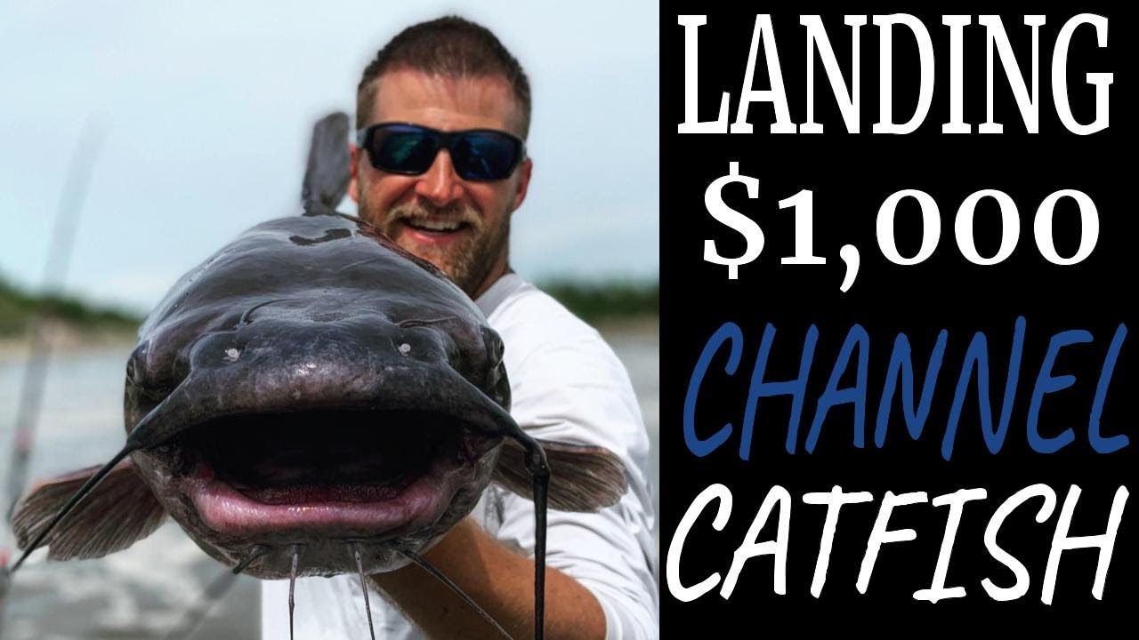 Manitoba Master Angler Catfish on the Red River (feat. Darren's ...