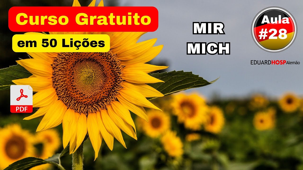 Curso Gratuito em 50 Lições | #28 - MIR / MICH - DIR / DICH - YouTube