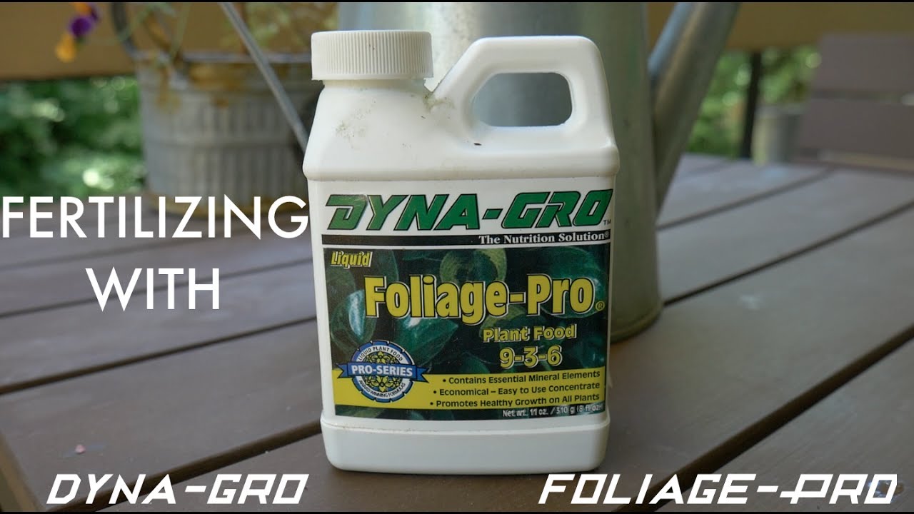 Fertilizing with Dyna Gro Foliage Pro | How and why I use it - YouTube