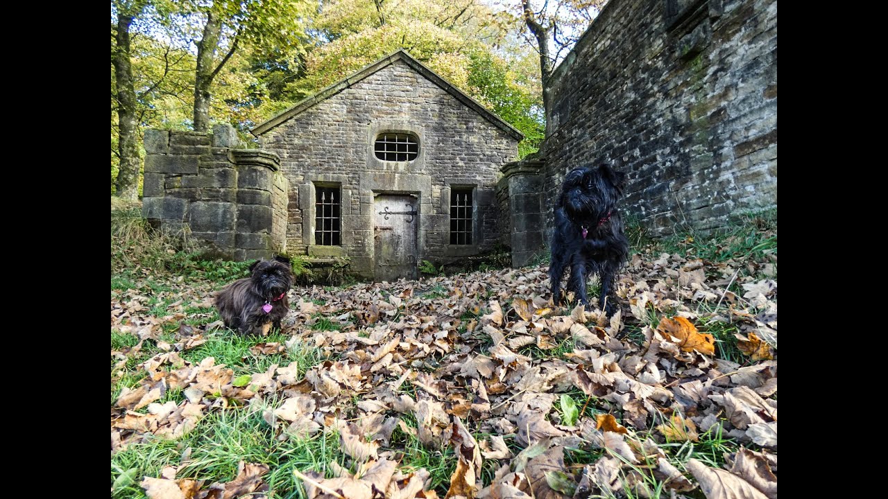 Exploring a Well House & Ruins of Hollinshead Hall with Two ...