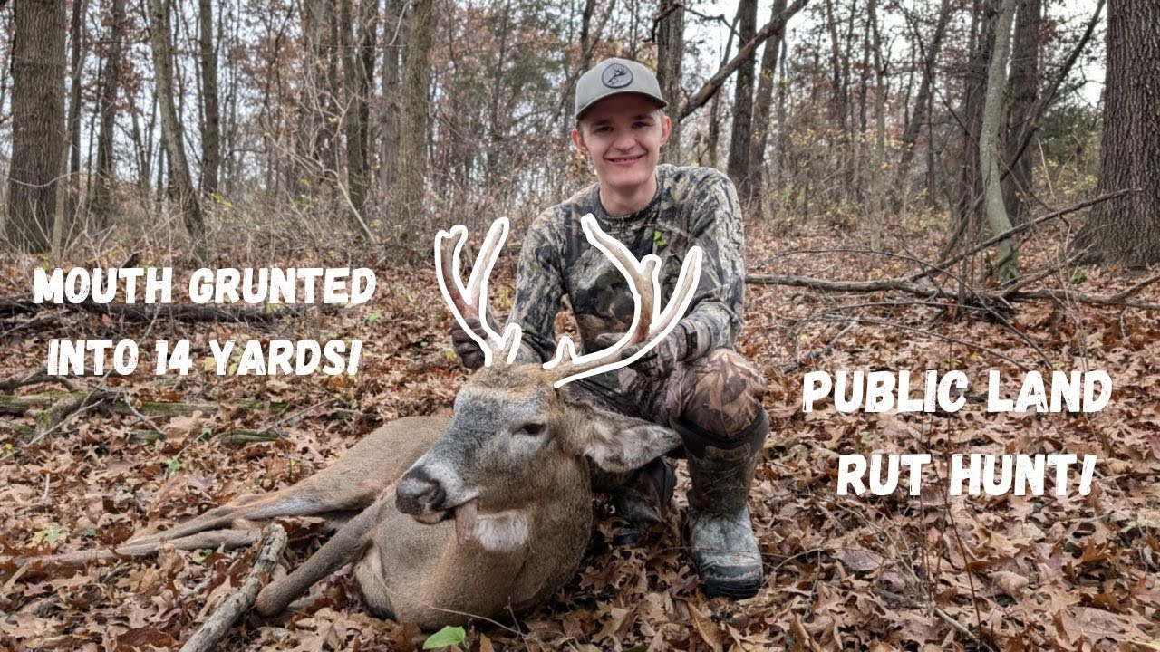 Wisconsin Public Land Rut Hunt SUCCESS - MOUTH GRUNTED IN! 2024 - YouTube