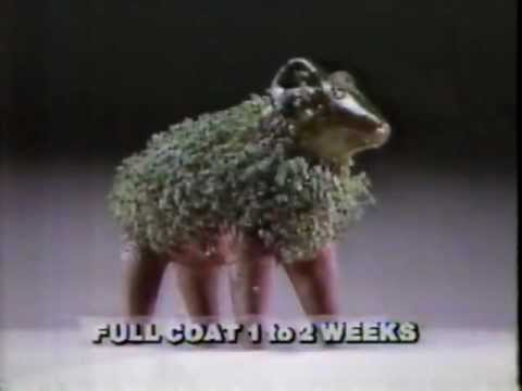 1984 Chia Pet Commercial - YouTube