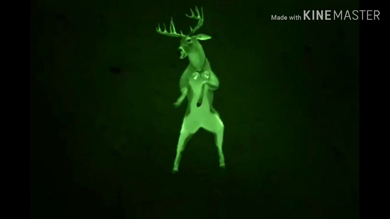reindeer dance amazing - YouTube