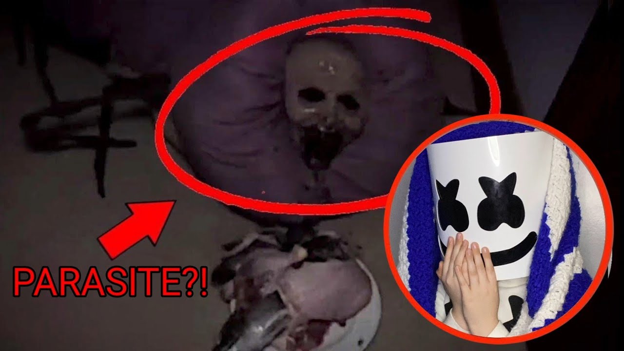 THEY BOUGHT ANOTHER PARASITE OFF THE DARK WEB.. **SCARY** - YouTube
