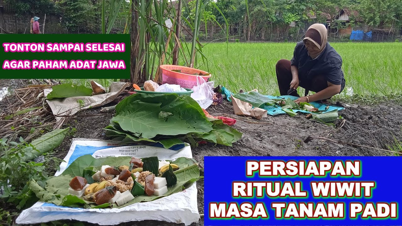 RITUAL WIWIT MASA TANAM PADI - YouTube