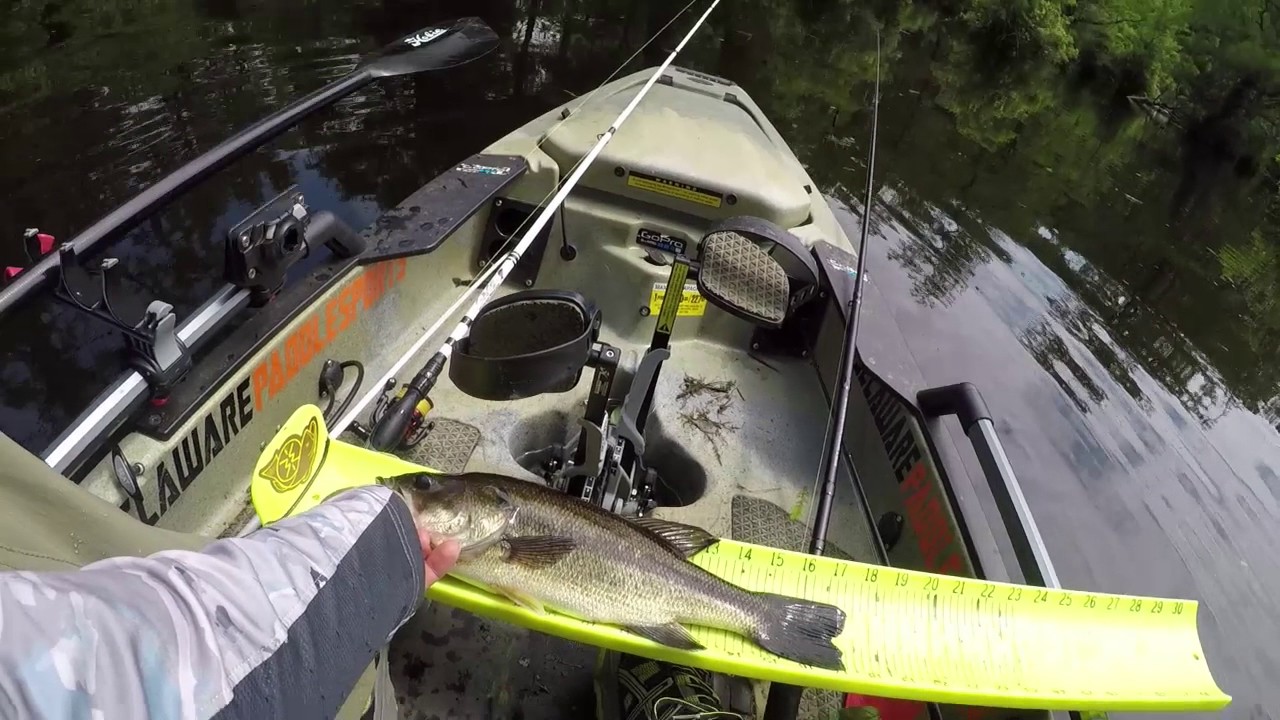 Bass Pro Kayak Fishing Tournament at Wilfred Mccarty blog