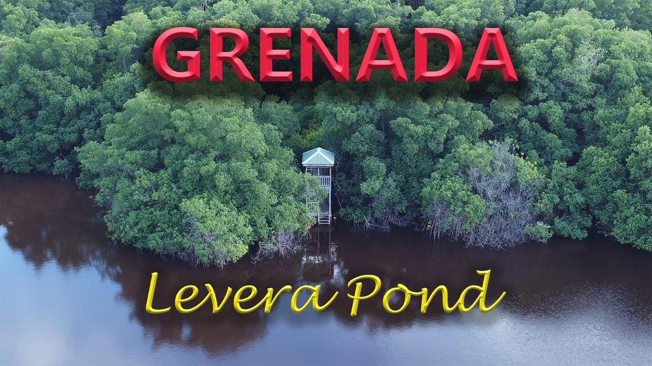 Grenada Cinematic Drone Footage and Photos of Levera National Park ...
