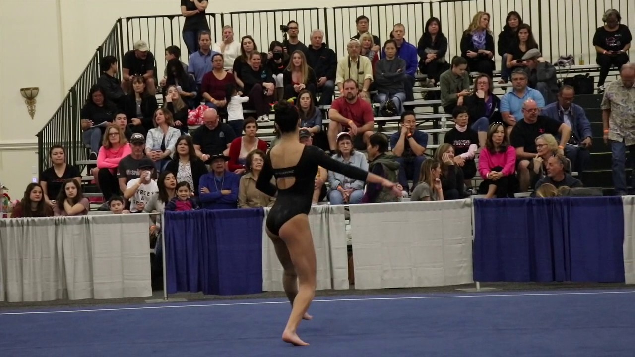 Avery Serna 2nd Floor San Diego Classic 2017 Wildfire Gymnast Level 9 ...