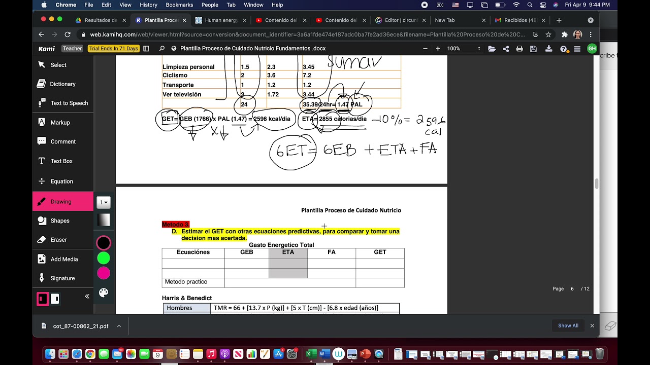 video 6 Metodos calculo gasto energetico total - YouTube