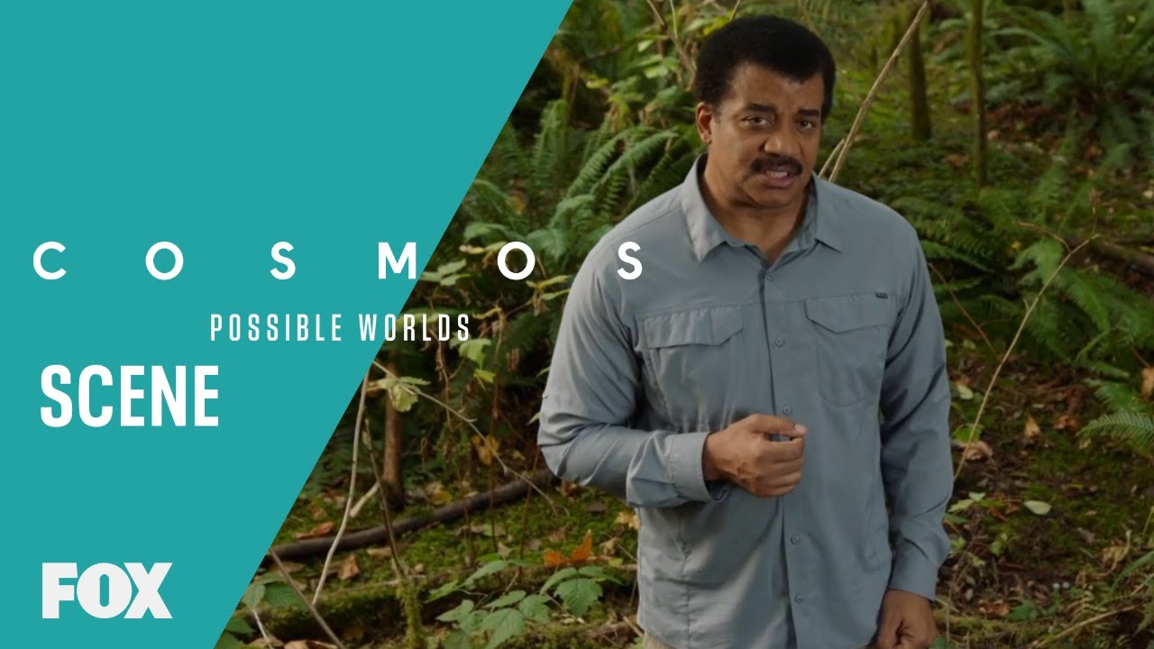 Alien Intelligence Vs. Earthly Intelligence | Season 1 Ep. 7 | COSMOS ...
