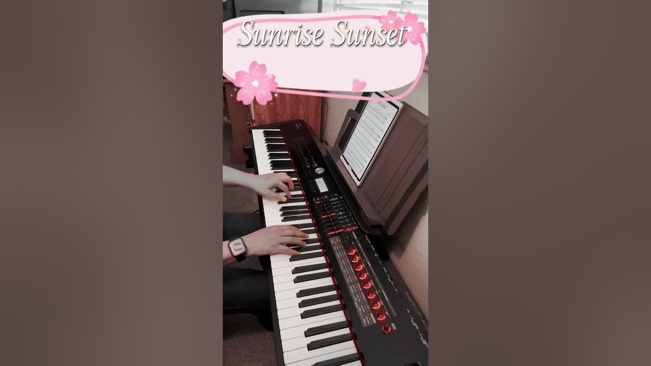 Sunrise Sunset - YouTube