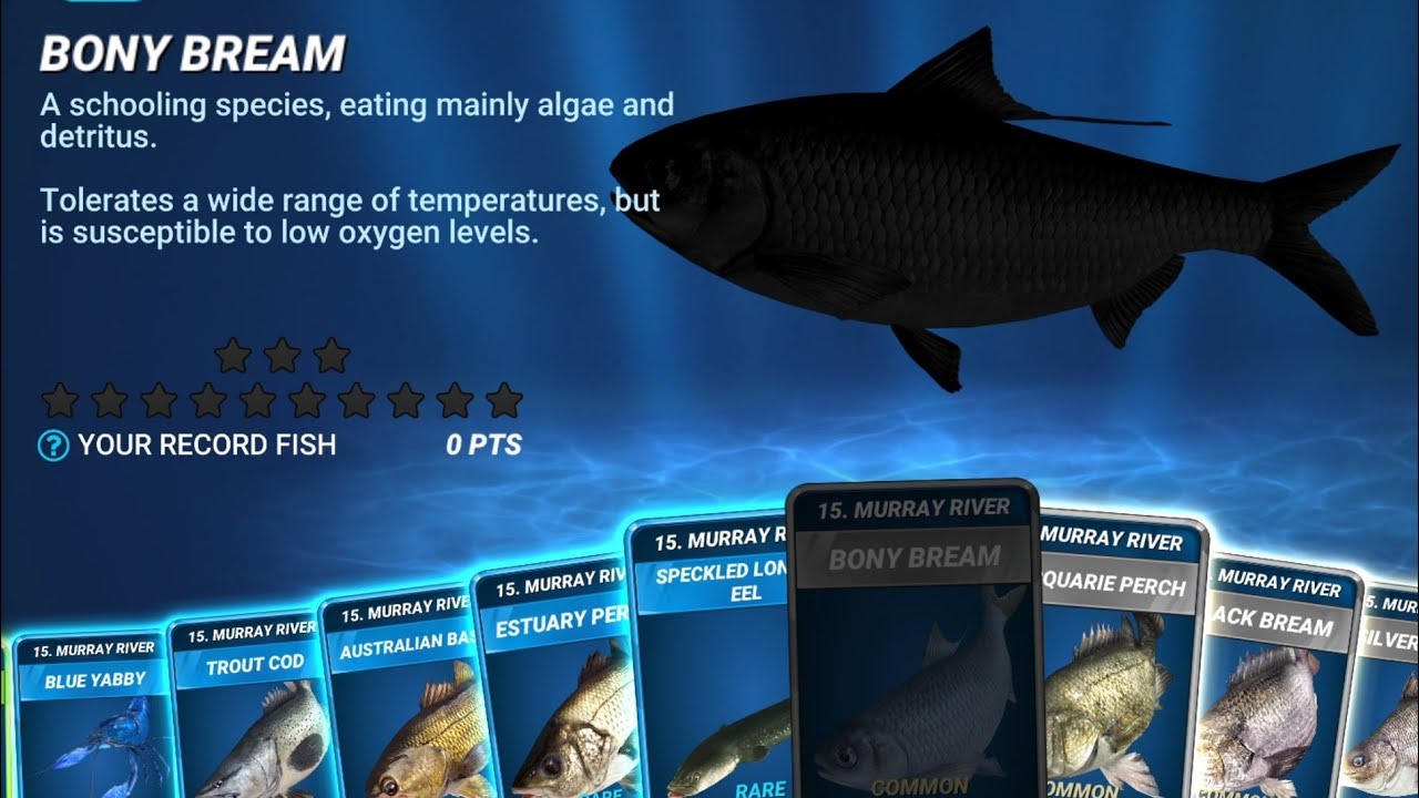 New Fish | Bony Bream | Fishing Clash Gameplay Ep151 - YouTube