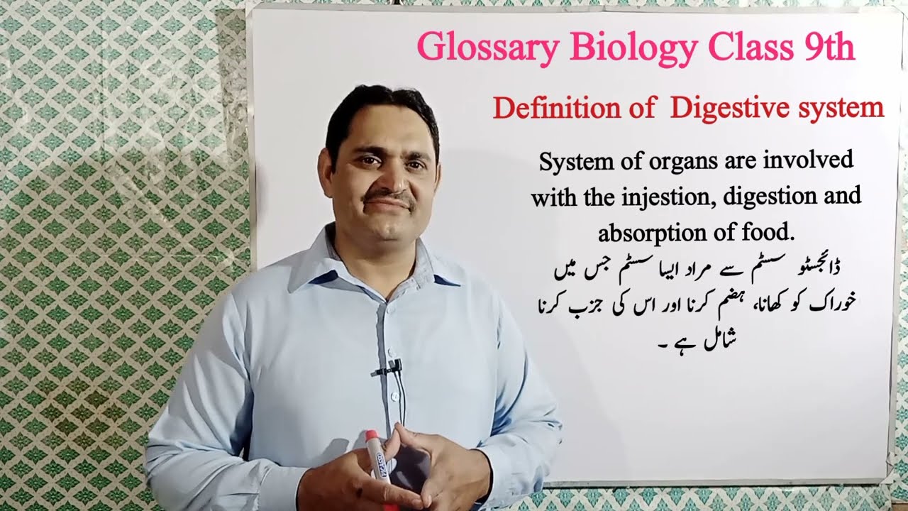 Digestive system = Definition of digestive system| Class 9th - YouTube