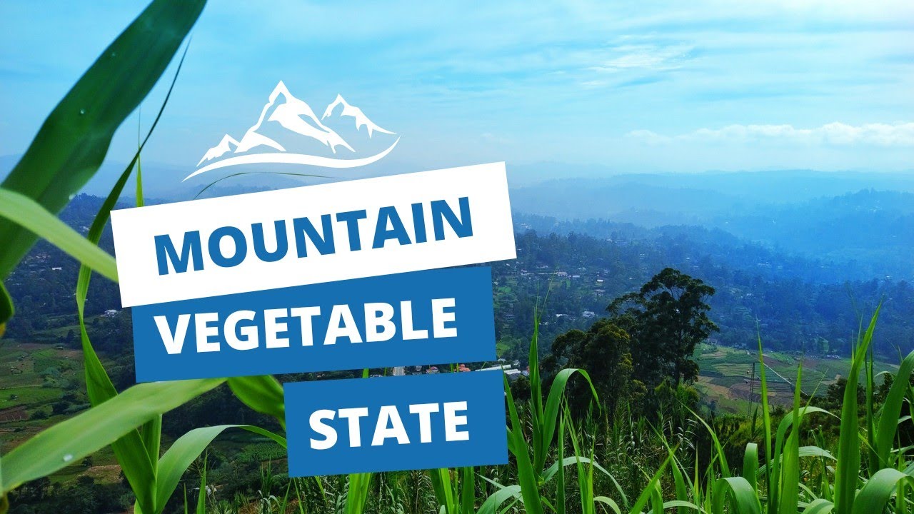 Rode To My Vegetable State Part 2 - YouTube