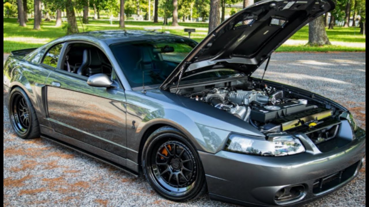 Buying the CLEANEST 2003 TERMINATOR COBRA (MY DREAM CAR!!!) - YouTube