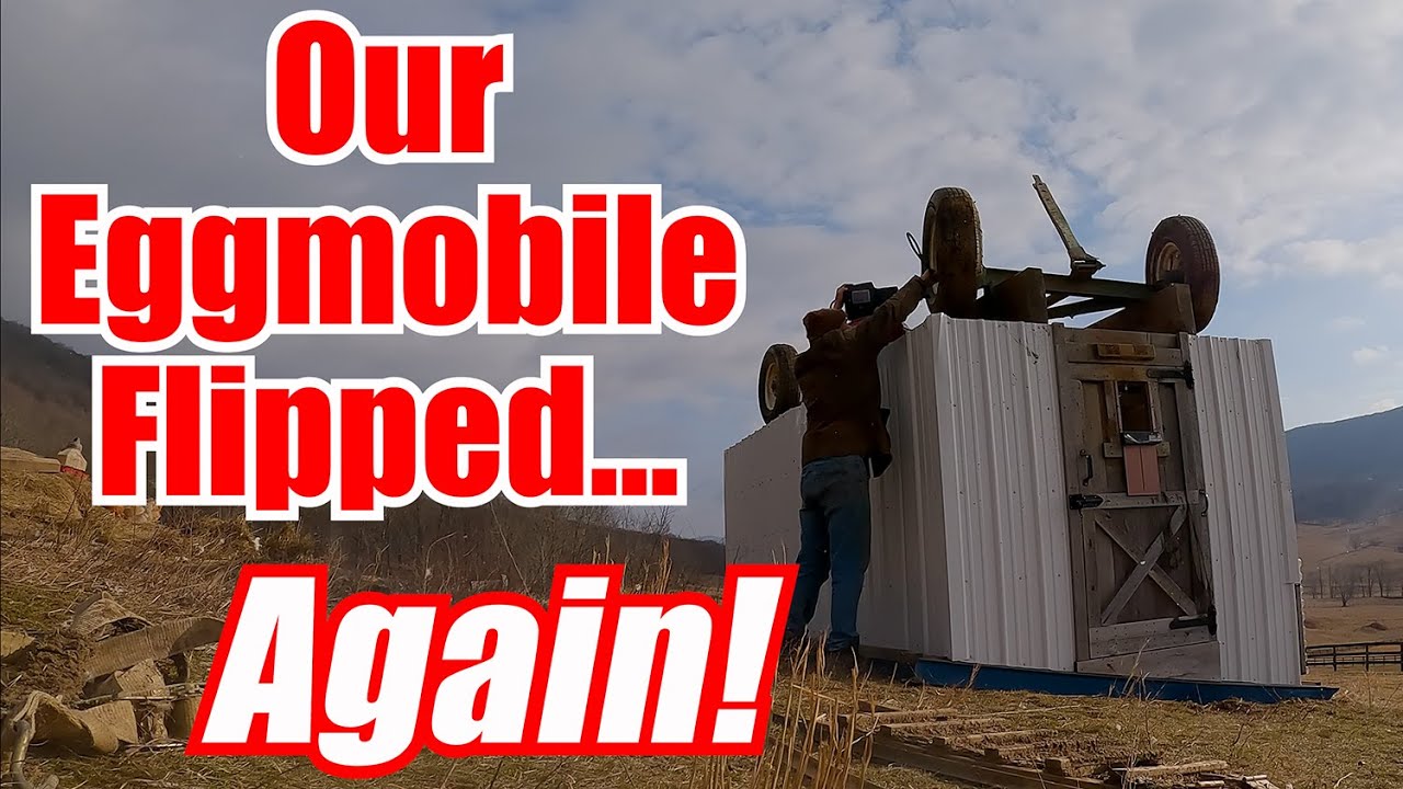 Our Egg Mobile Flipped on It's Roof - YouTube
