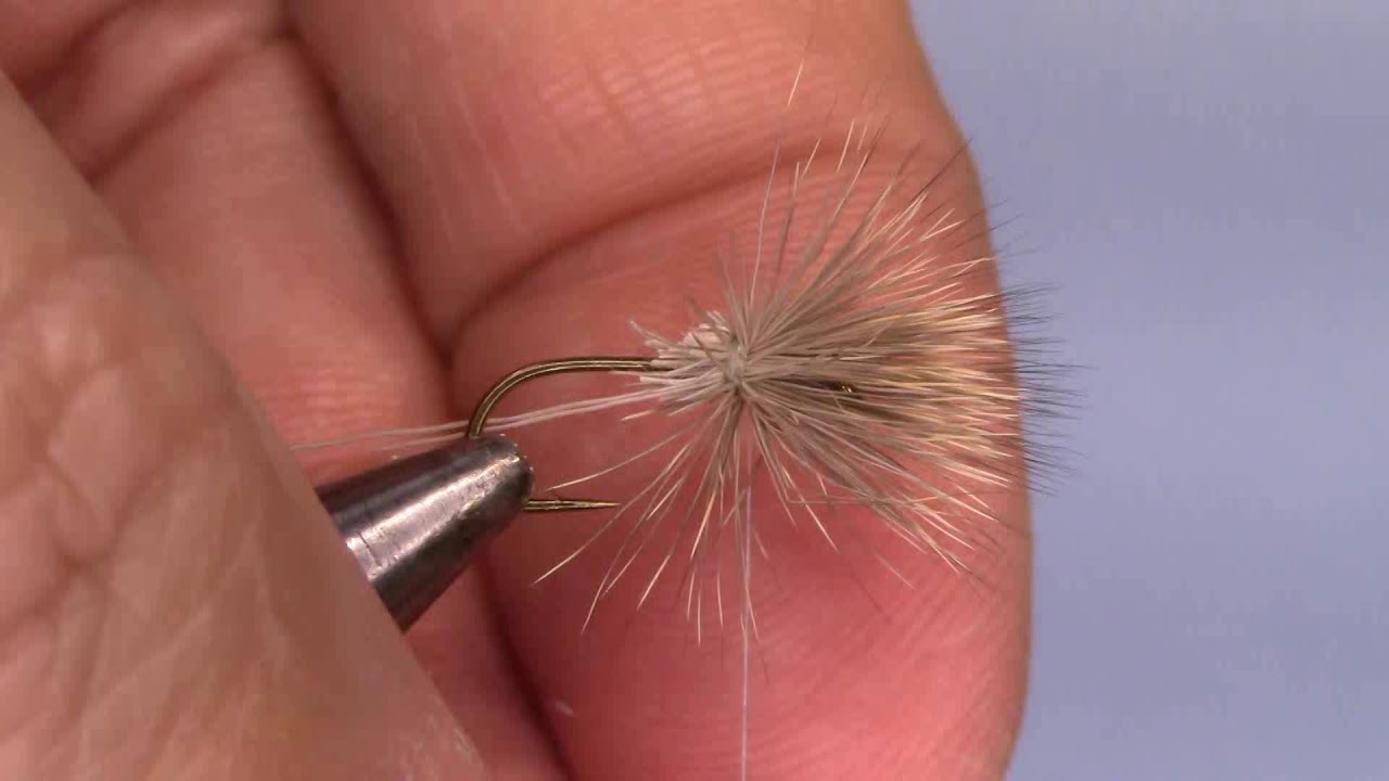 Light Hendrickson Sparkle Dun - YouTube