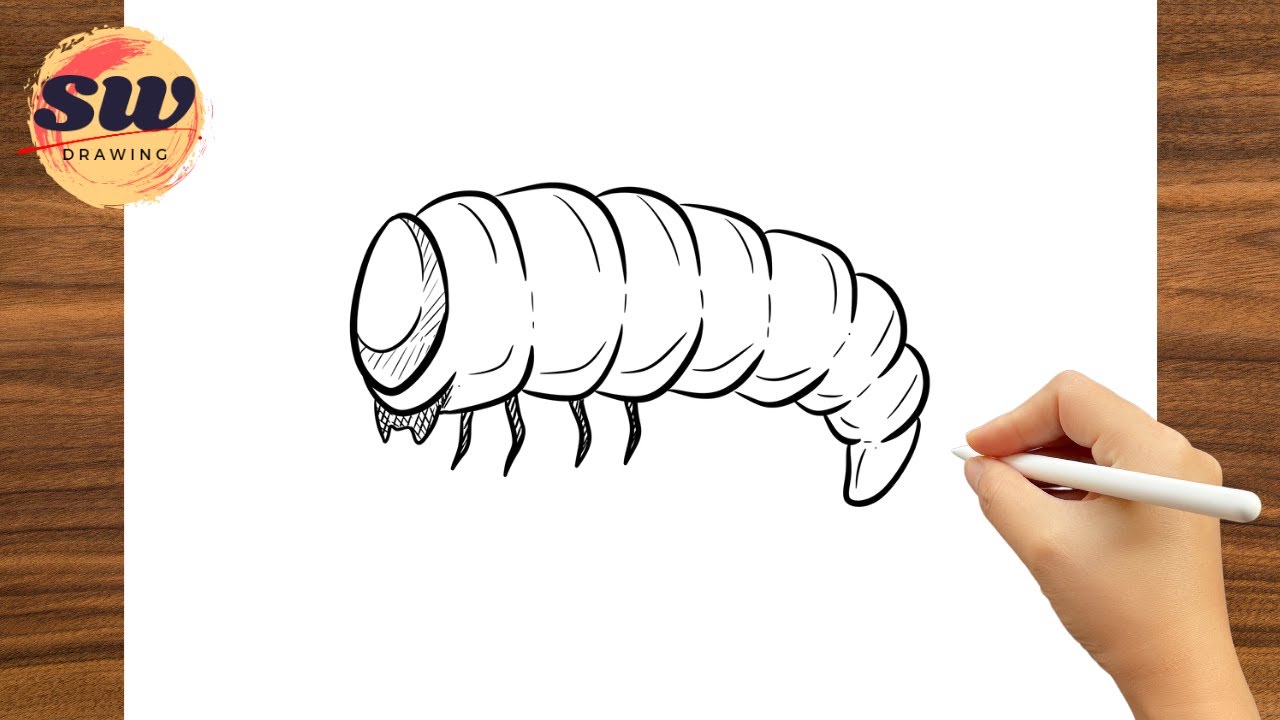 How to Draw Larva - YouTube