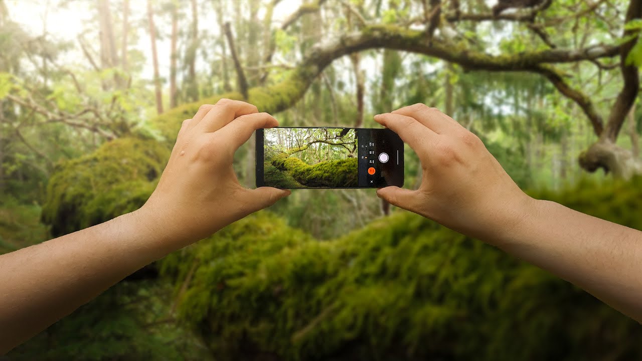 Xperia 1 V - Relaxing POV Forest Photography - YouTube