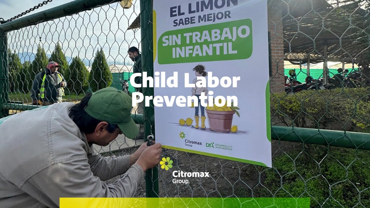SCS for Child Labor Prevention - YouTube