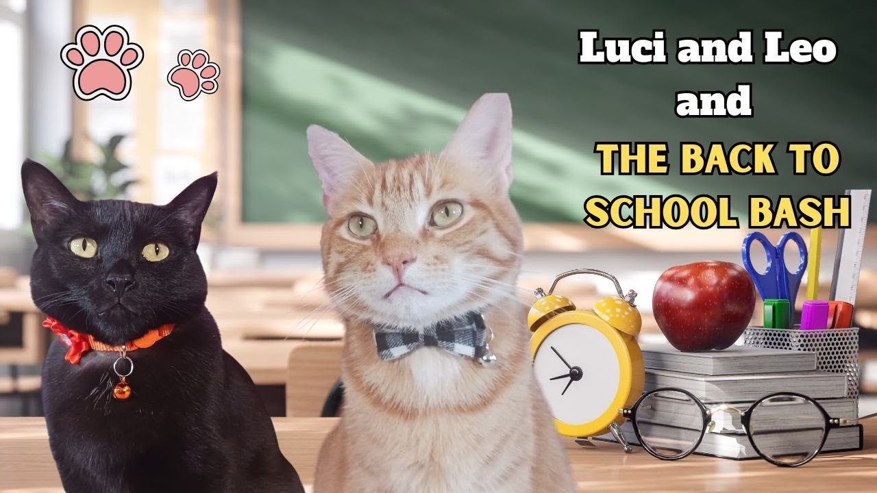 Luci and Leo and The Back to School Bash - YouTube