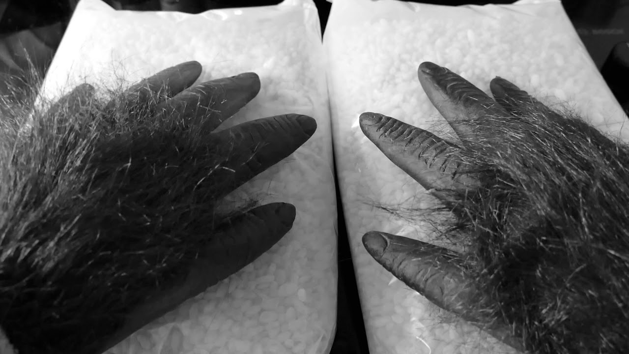 Monster ASMR starring Marcus and Jerome. - YouTube