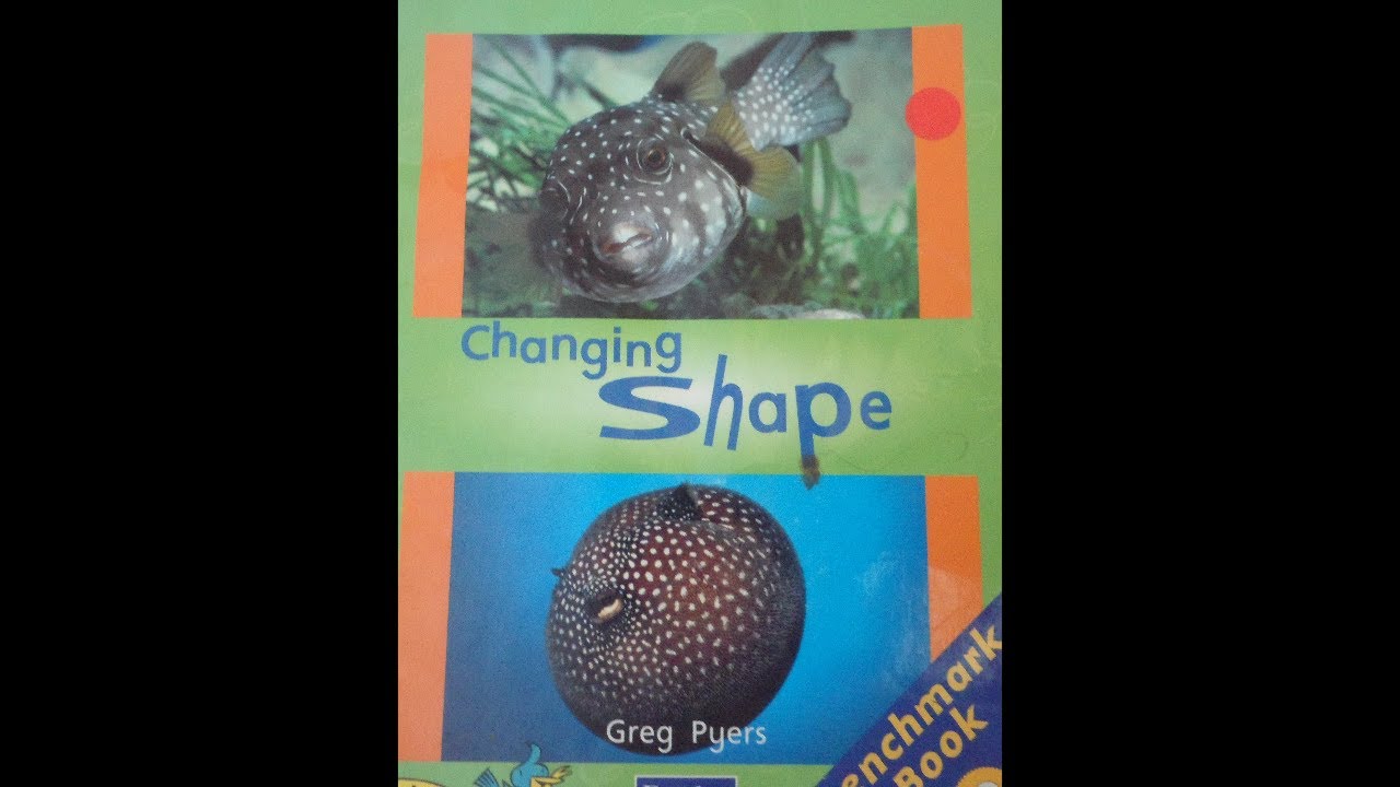 ANIMALS CHANGE SHAPE - YouTube