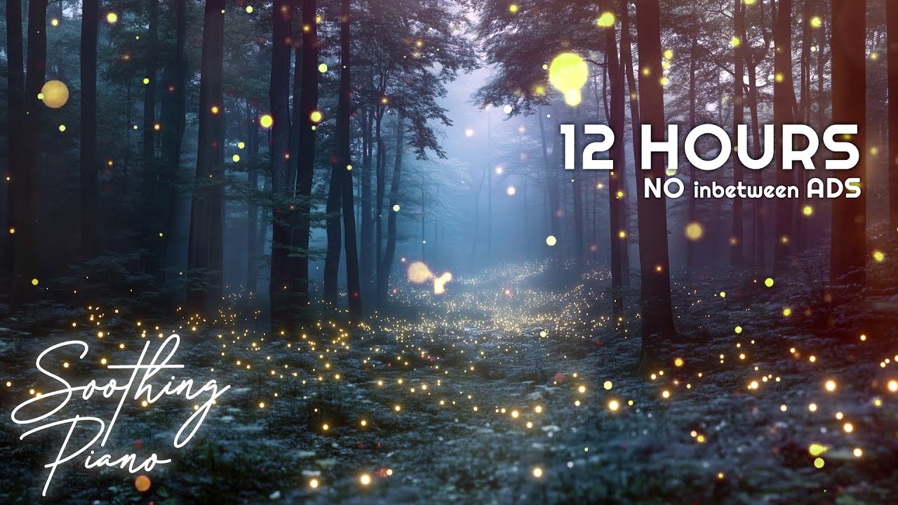Enchanted Forest Relaxation | Dreamy Piano & Guitar Music in a Mystical ...