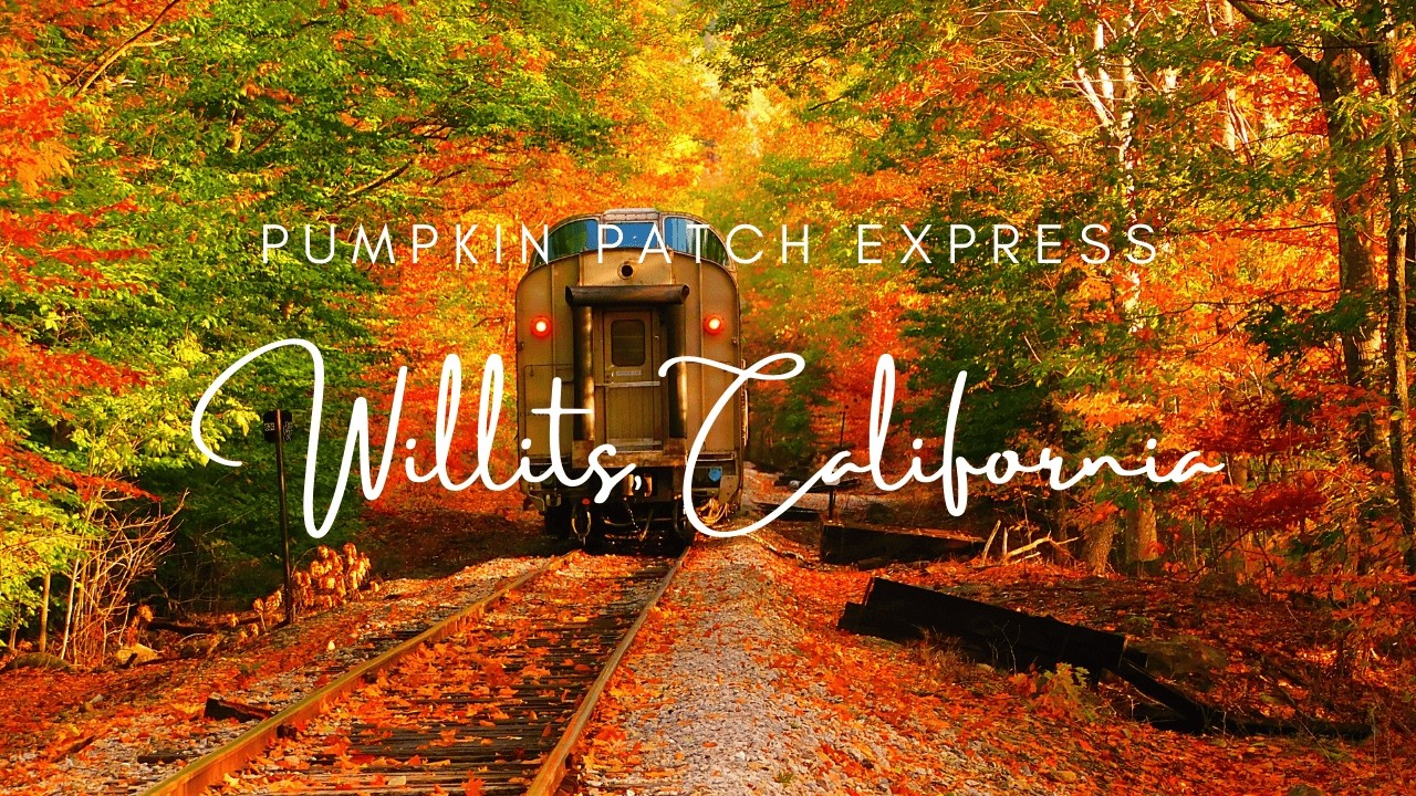 🎃 Pumpkin Patch Express on the Skunk Train: Fall Fun & Ghost Dog Shorty 🐾 | Willits, CA - YouTube