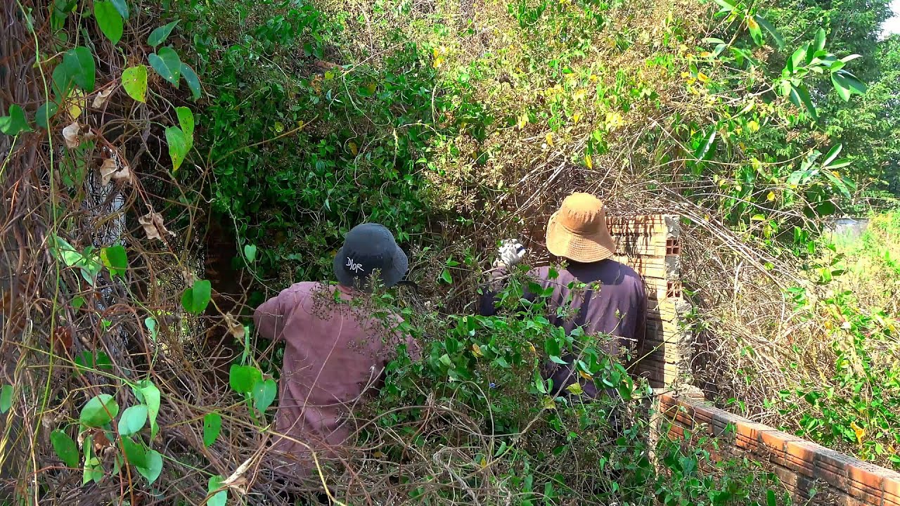 Abandoned House With Dead Body At The Bottom Of The Dry Well Has ...