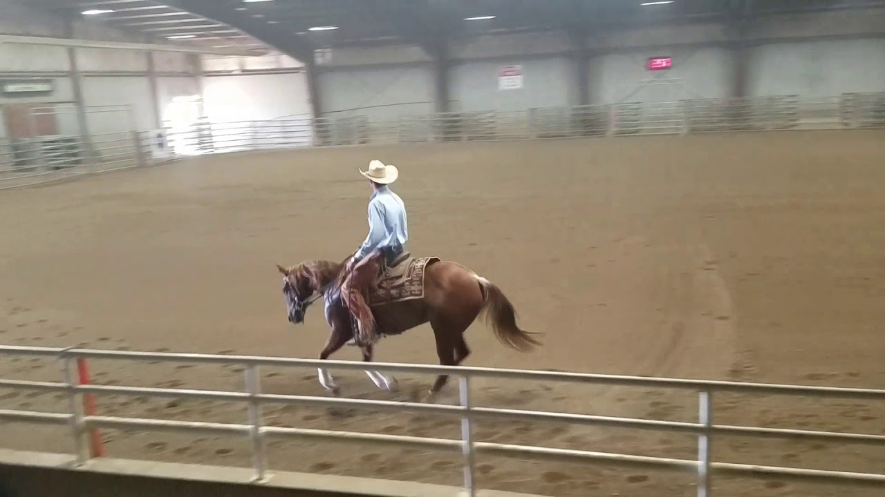 'baby' "roany" nrcha reining - YouTube