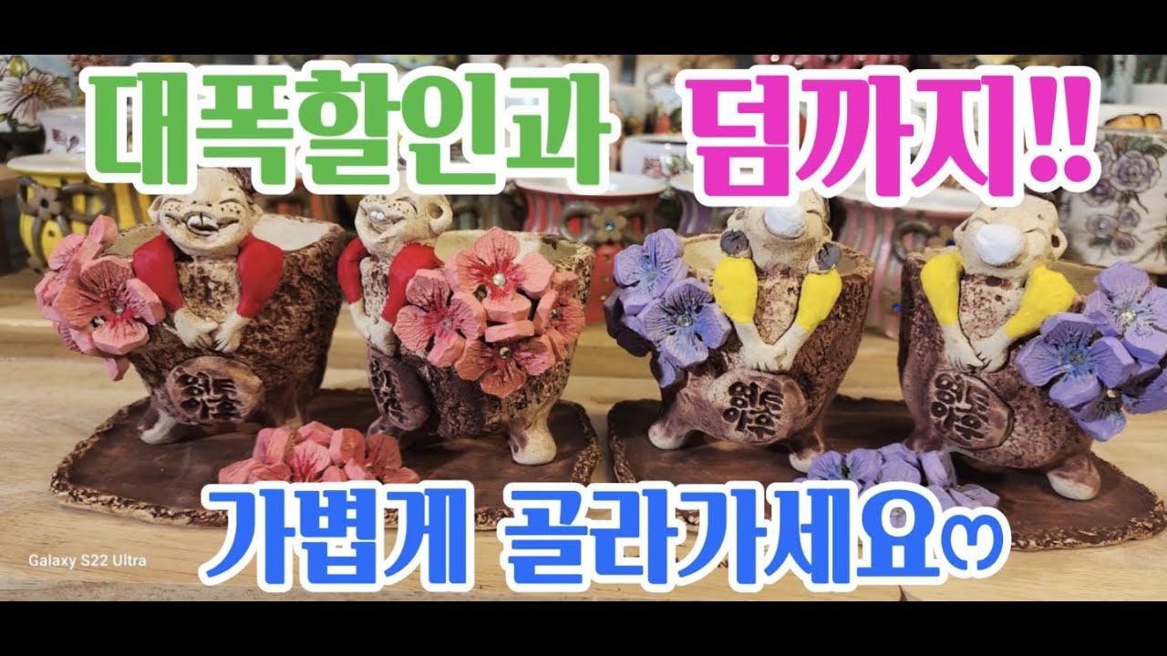 11월26일 대폭할인과 덤까지 가볍게 골라가세요 꽃담다육스토리예쁜화분화분싸게파는곳다육식물多肉植物succulents다육이꽃담화분다육화분꽃담다육스토리화분